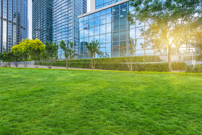 Office Lawn Care, Maryland | Monument Facility Services