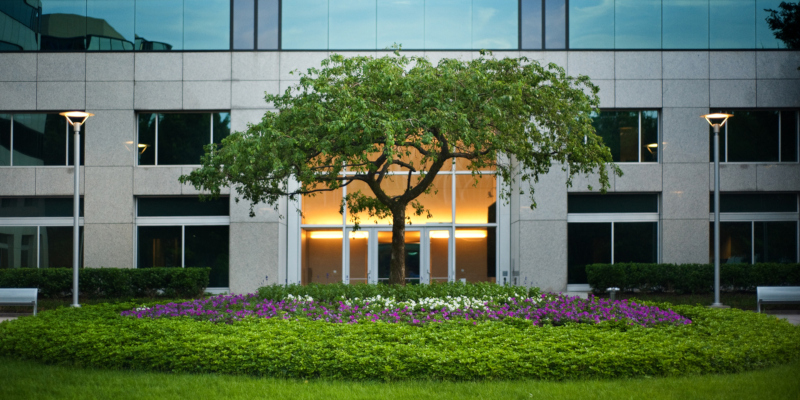 Office Building Landscaping